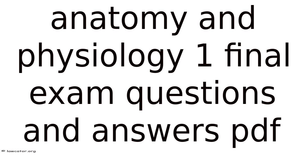 Anatomy And Physiology 1 Final Exam Questions And Answers Pdf